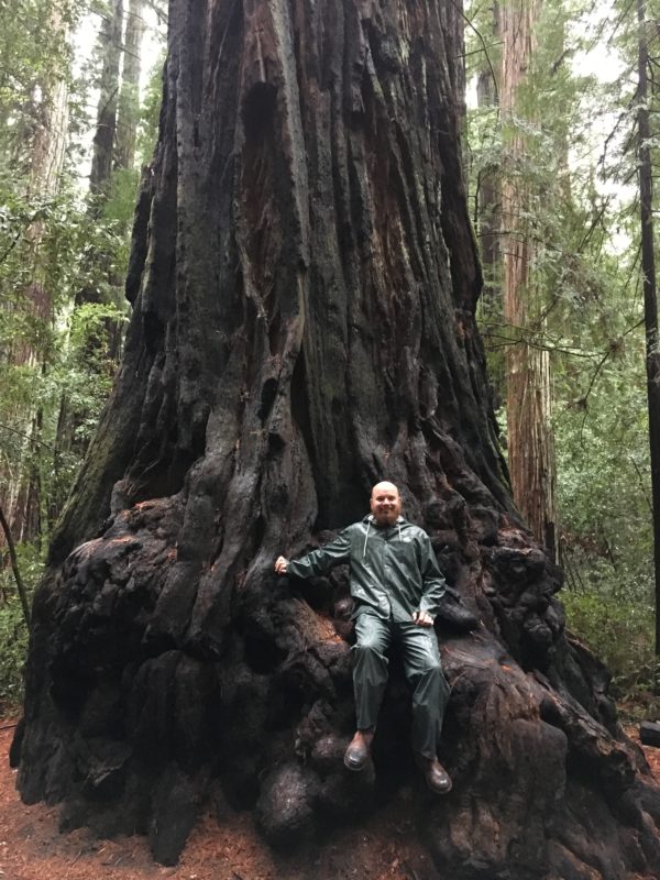 Gallery - Eric Christopher Art