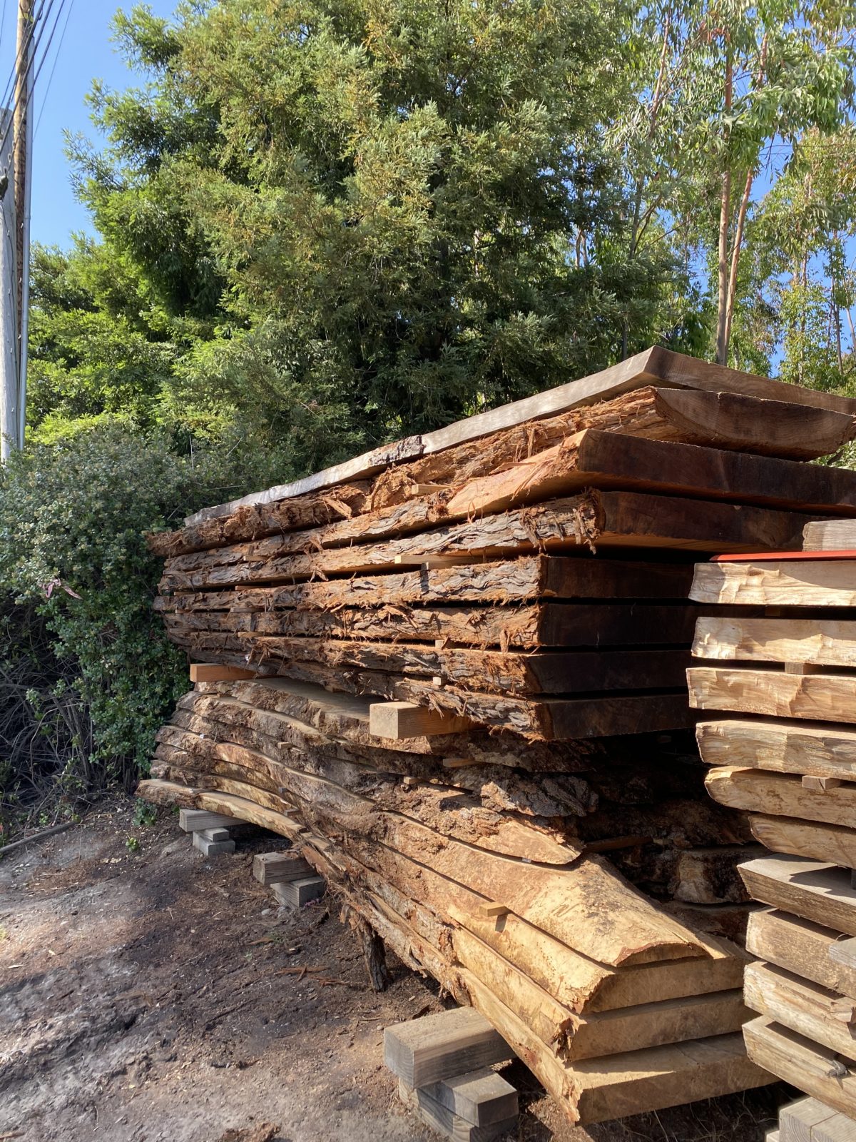 Gallery - Eric Christopher Art