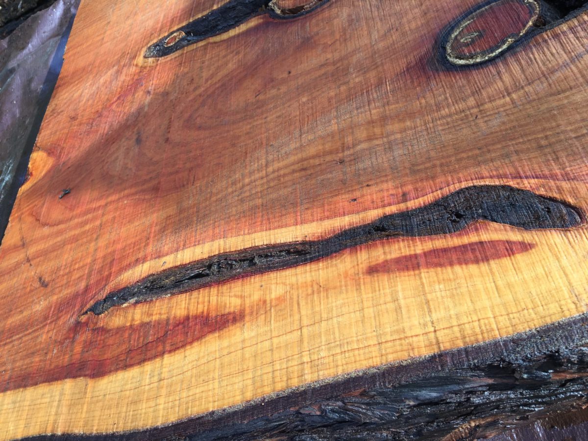 Eric Christopher Art - Eric Christopher Art